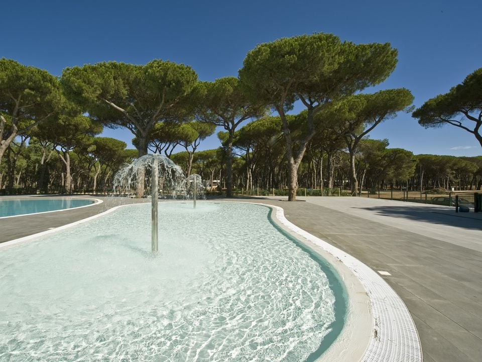 Camping Rome : 8 campings et 7 aux alentours - Toocamp