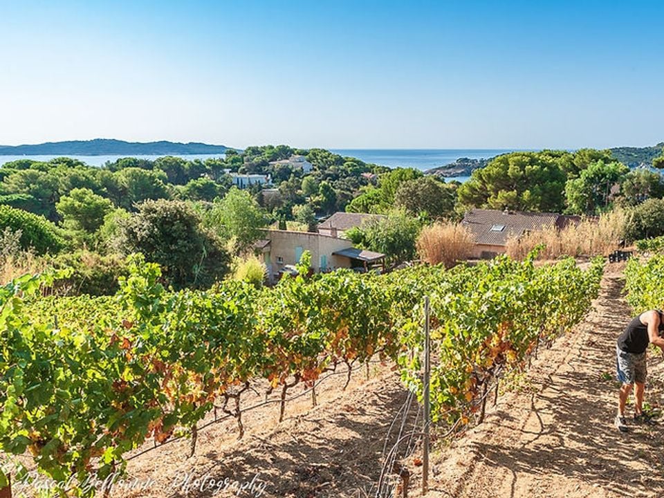 Camping Domaine de la Presqu'île de Giens à Hyères, tarifs et réservations