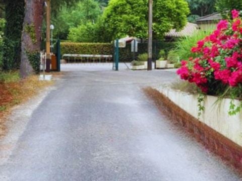 Flower Camping De La Plage - Saint-Cirq-Lapopie