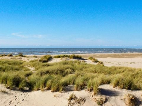 Camping Domaine De La Pinede - Le Touquet-Paris-Plage
