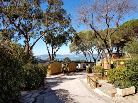 Camping Clair De Lune - Var