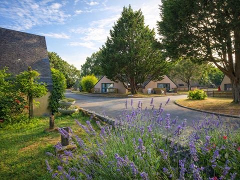 Village Vacances Ty An Diaoul - Brittany