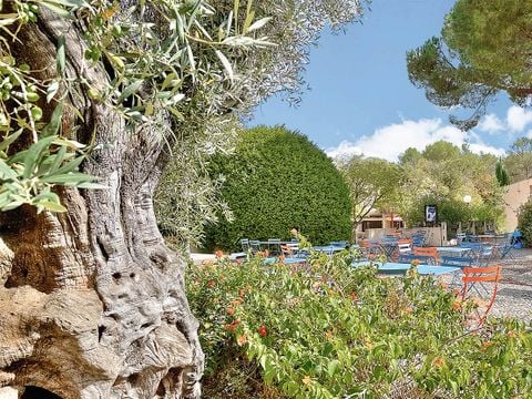 Club Belambra Les Terrasses De St Paul-de-vence - French Riviera