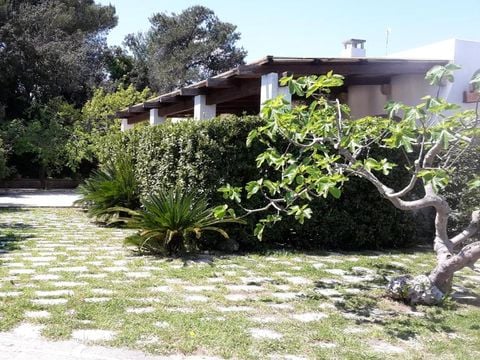 Camping Agriturismo Vignavecchia - Apulien