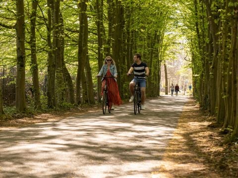 Europarcs Hoge Kempen - Belgium