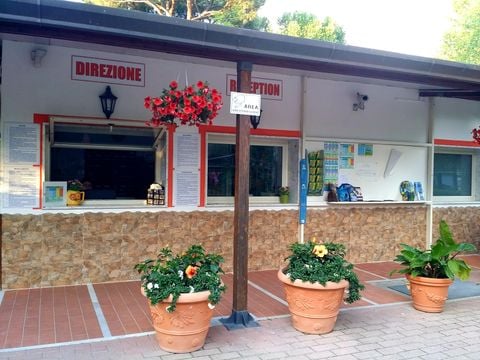 Camping Dal Pino - Massa