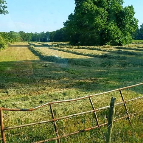 Recreatiepark de Bosrand in Oudemirdum | BungalowSpecials