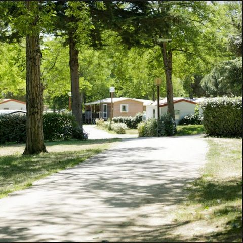 Camping Le Petit Rocher à LONGEVILLE SUR MER, tarifs et réservations