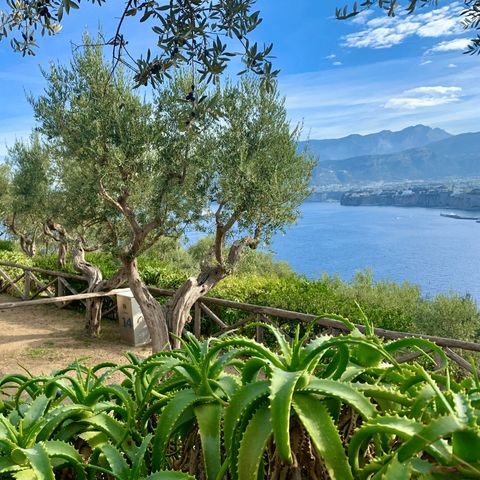 Camping Village Santa Fortunata à SORRENTO, tarifs et réservations