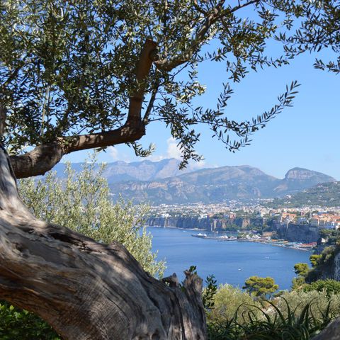 Camping Village Santa Fortunata à SORRENTO, tarifs et réservations