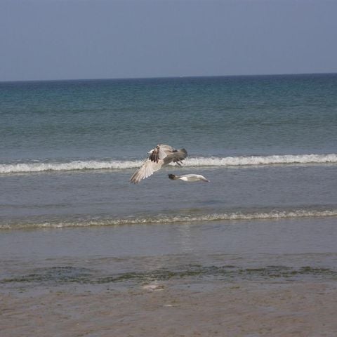 Camping de Goulit Ar Guer à PLOMODIERN, tarifs et réservations