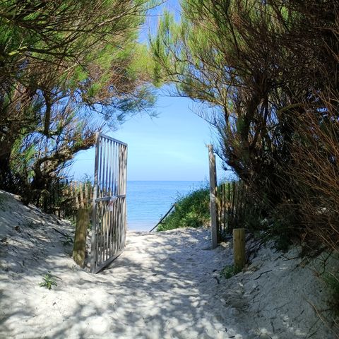 Camping Paradis - La Pointe de Roscoff à ROSCOFF, tarifs et réservations