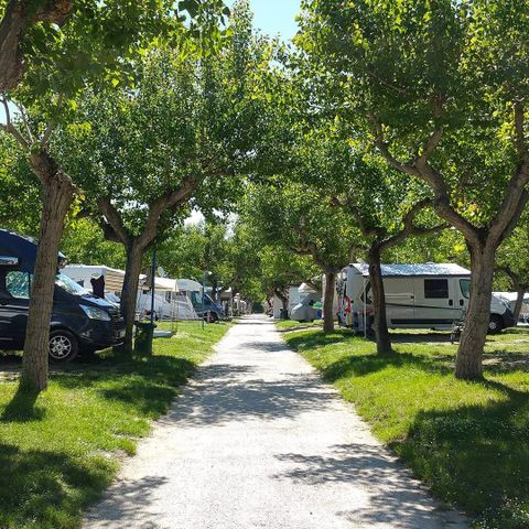 Camping Rimini : Top 10 des Meilleurs Campings